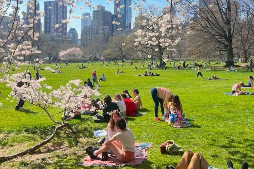 Spring in NYC - the Best Activities for a Perfect Day Out