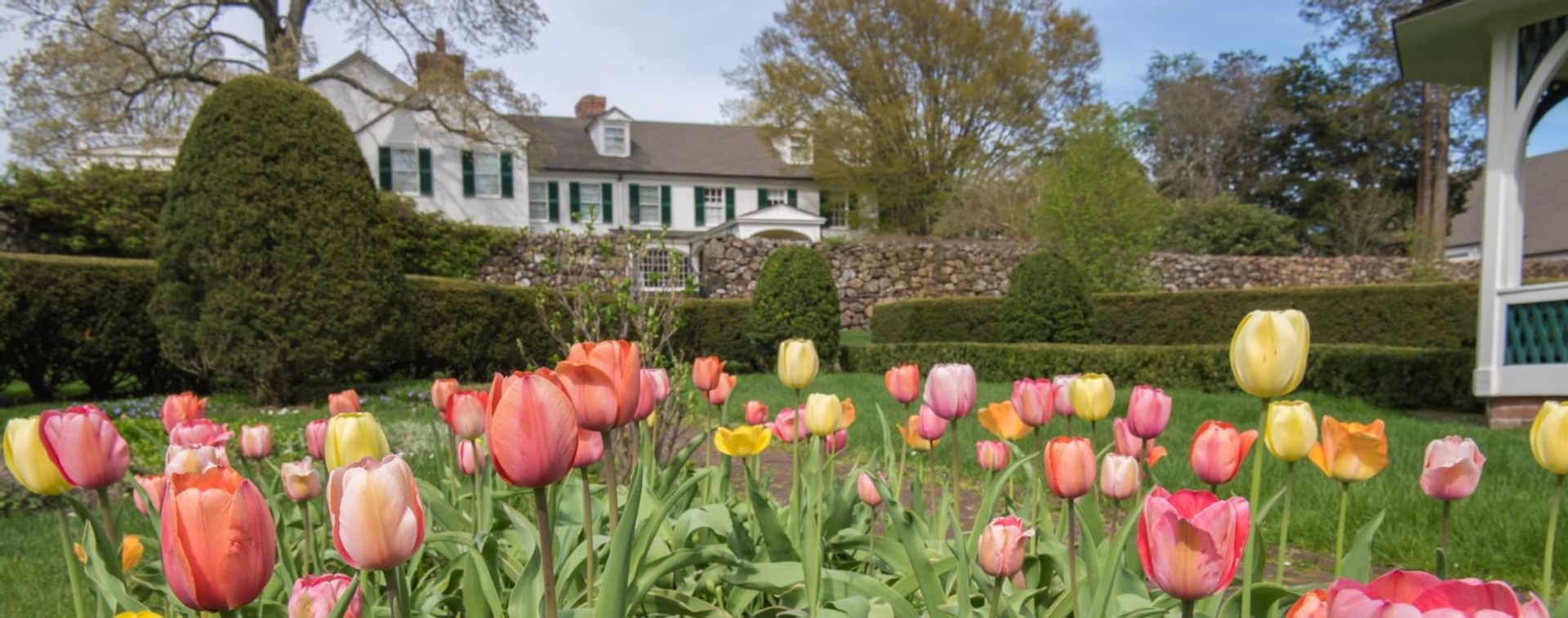 Spring Experiences in Farmington Valley, Connecticut