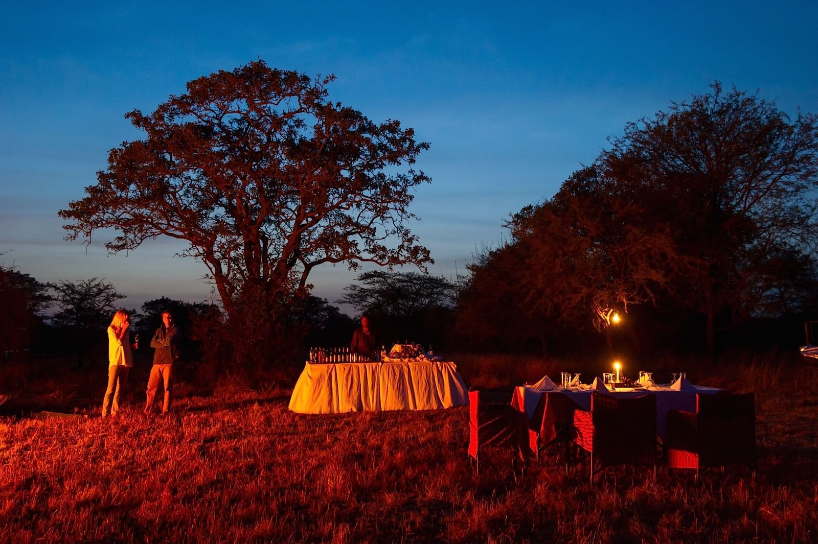 Gallery - Kirawira Serena Camp