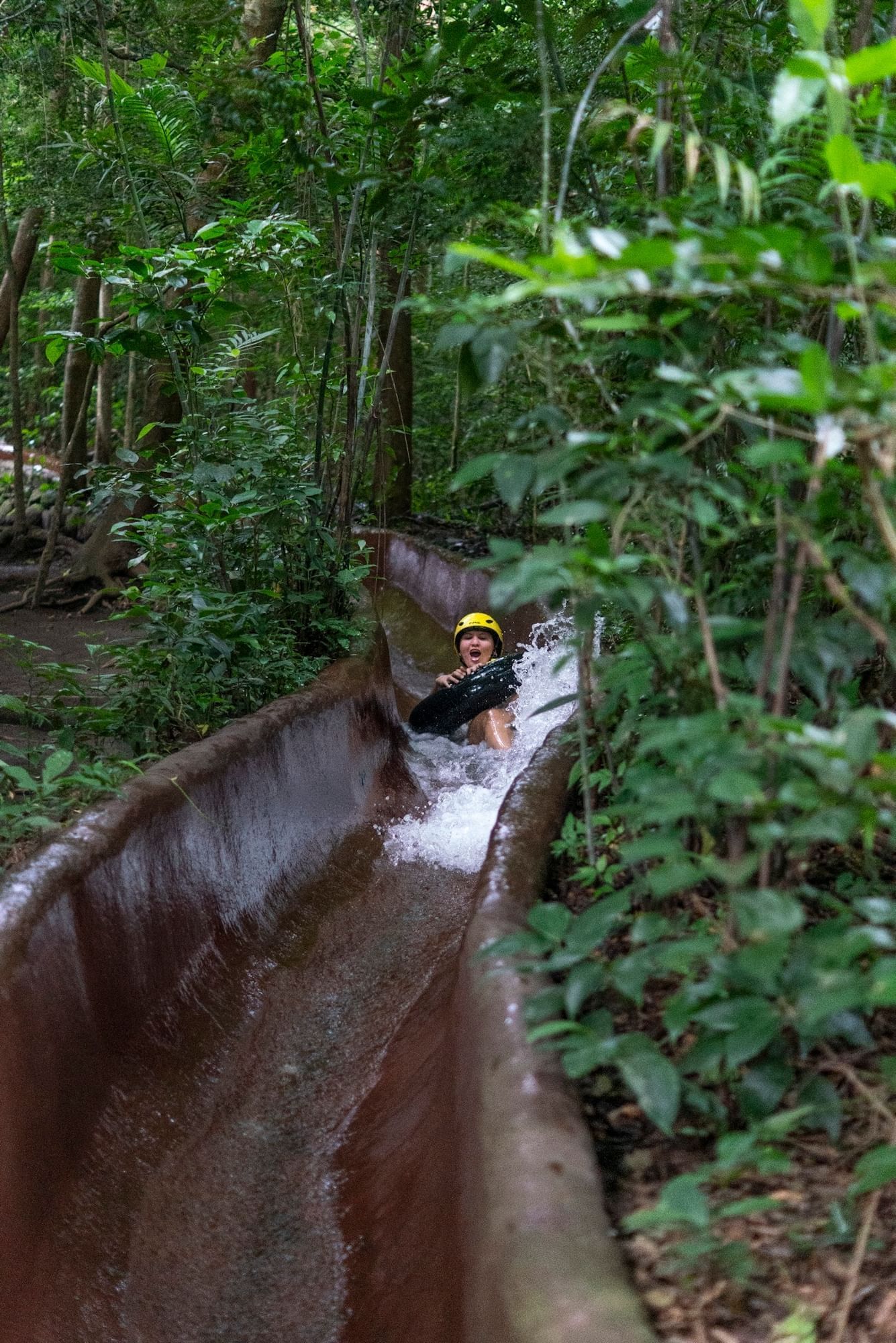 La Selva Waterslides | Buena Vista Del Rincon Eco Adventure Hotel And Spa