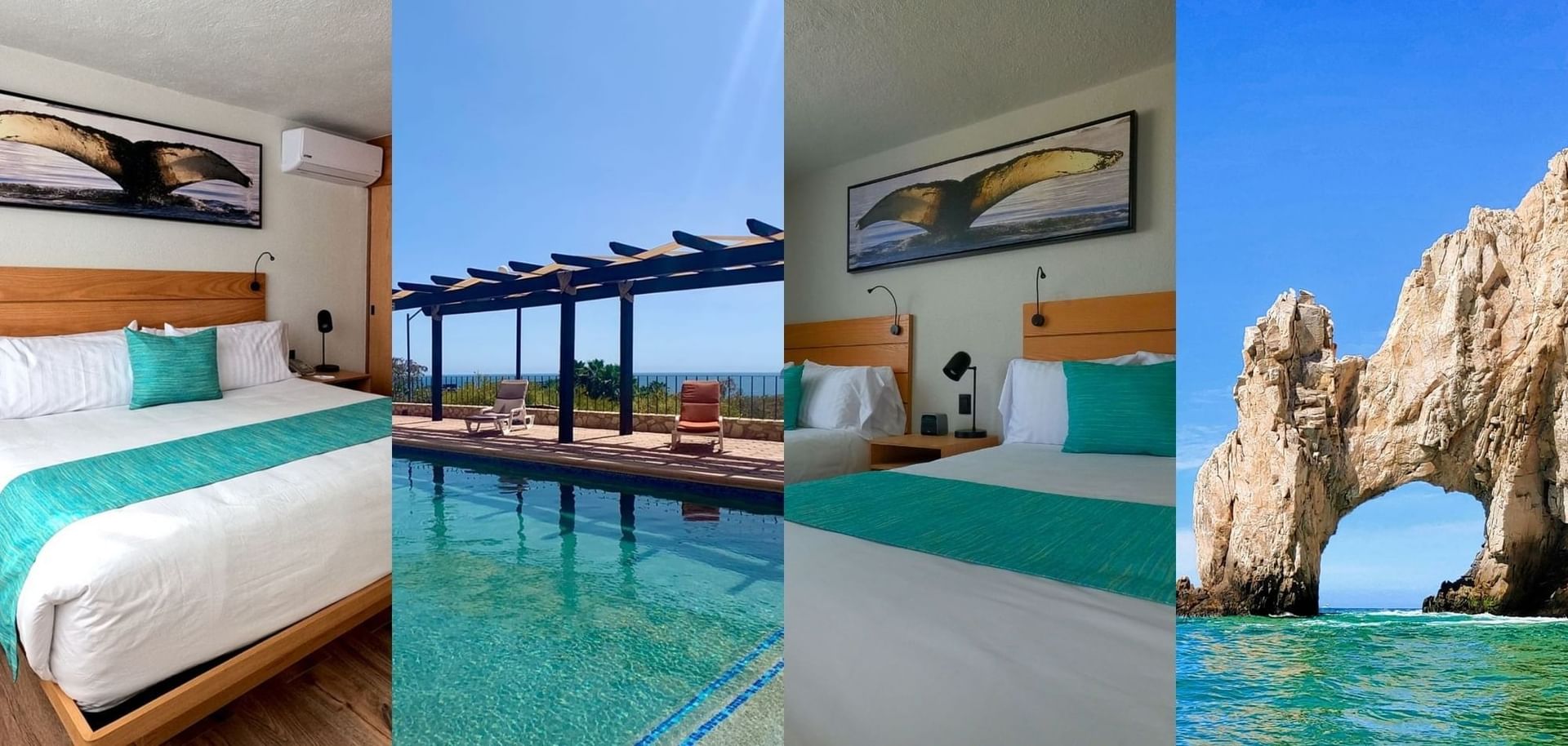 Sunrock Hotel & Suites Los Cabos | Los Cabos Hotels