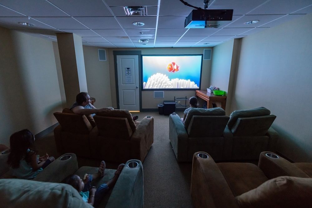 Cove Movie Theater 60 Photos - Moonagedaydream.film