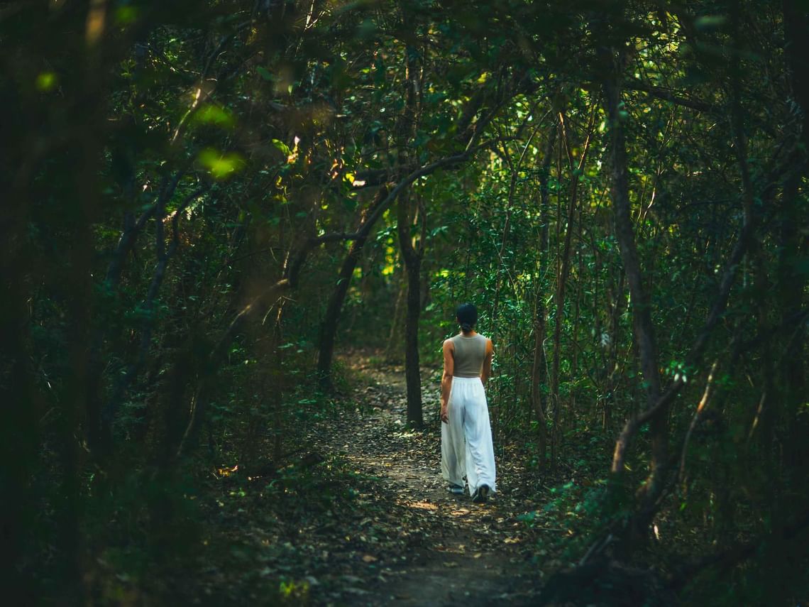 LUSH ADVENTURE PACKAGE (3 NIGHTS) | Hotel Rio Perdido