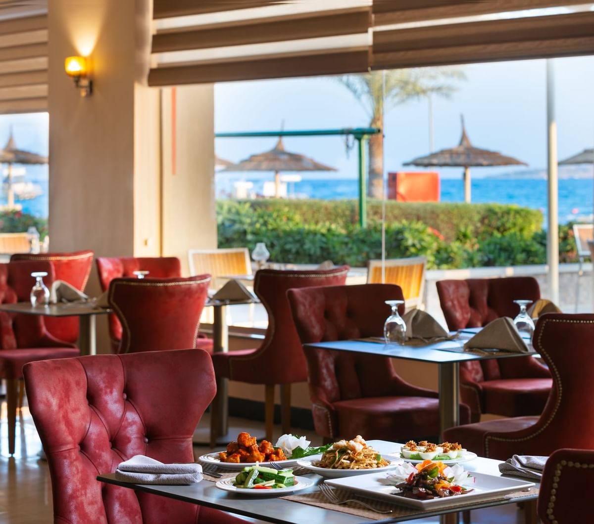 Dining in Hurghada | Beach Albatros Resort Hurghada