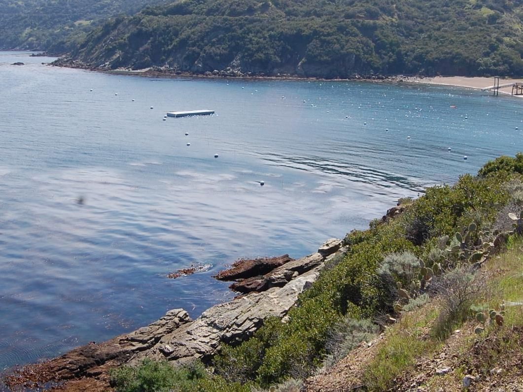 Mooring Sites | Catalina Island