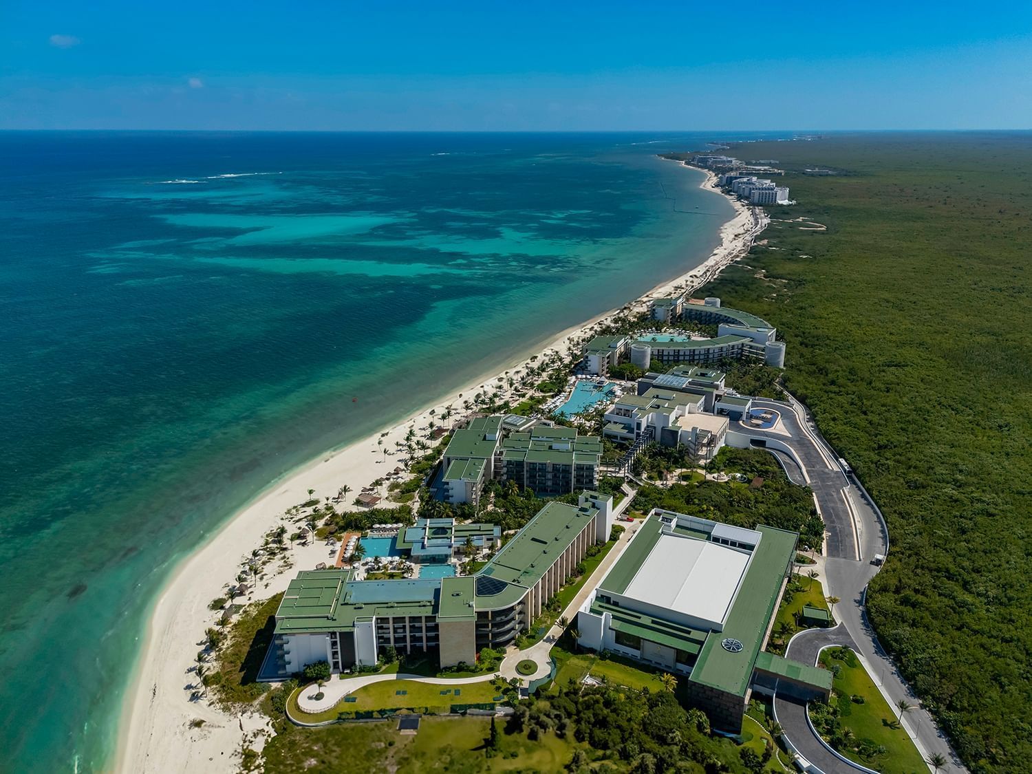 Let the Good Times Roll! | Haven Riviera Cancun Resort & Spa