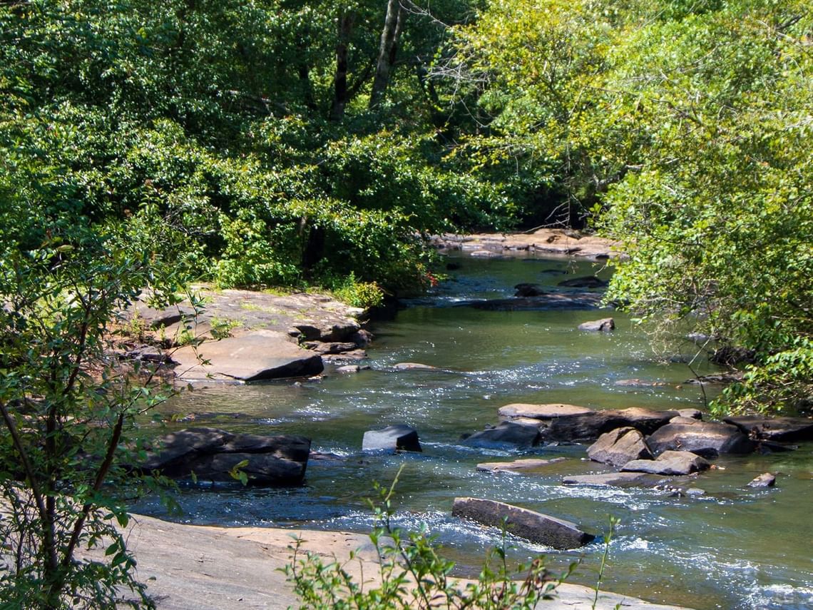 Line Creek Nature Area | Cottages at Laurel Brooke