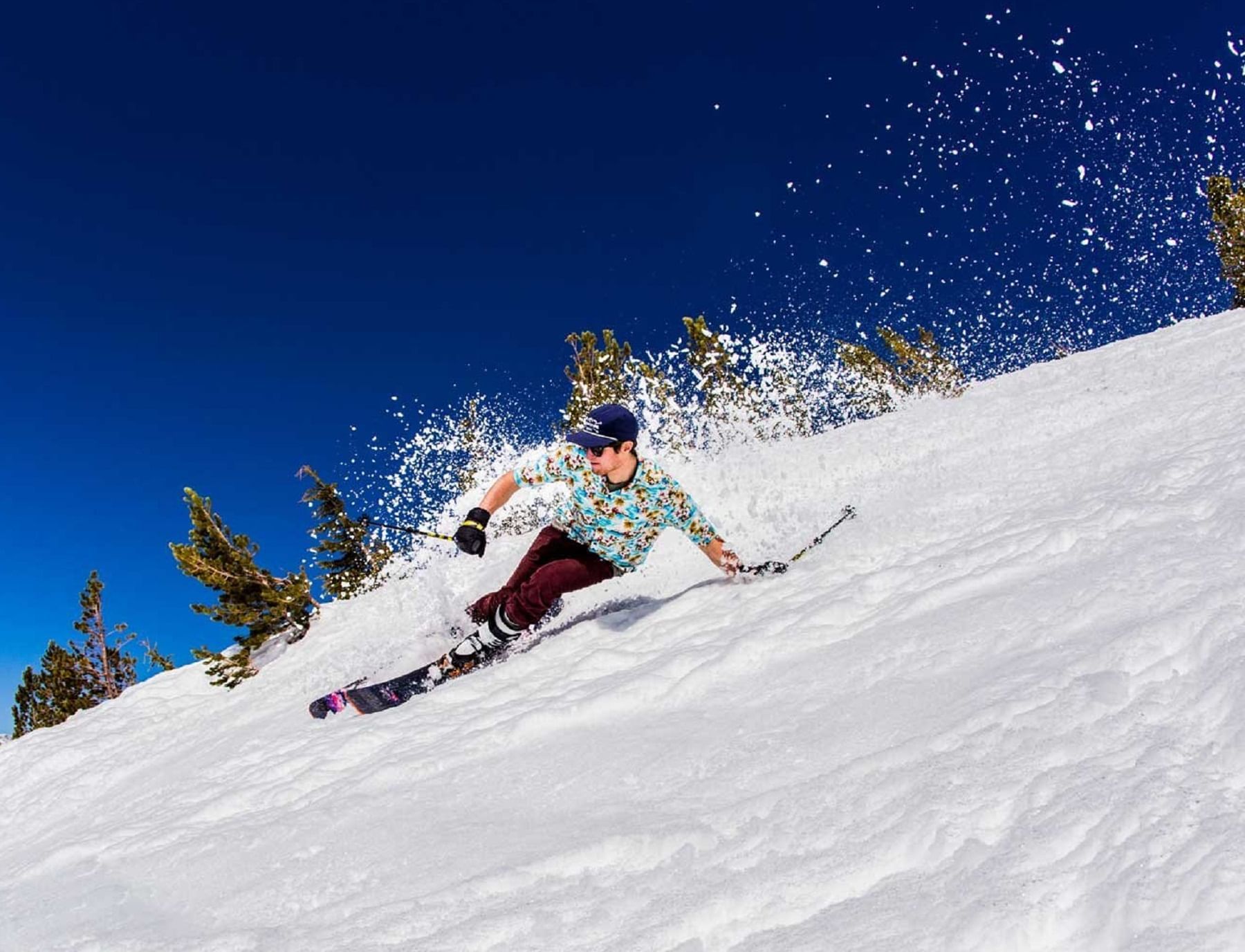 The Manchester View - Hotel In Manchester VT
