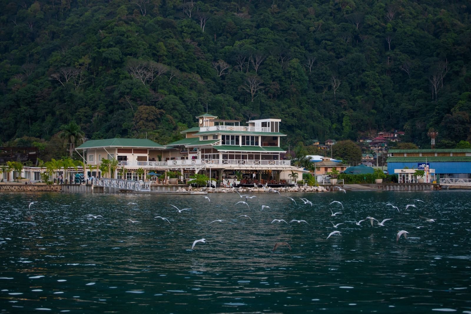 About Us | Marina Bahía Golfito, Costa Rica
