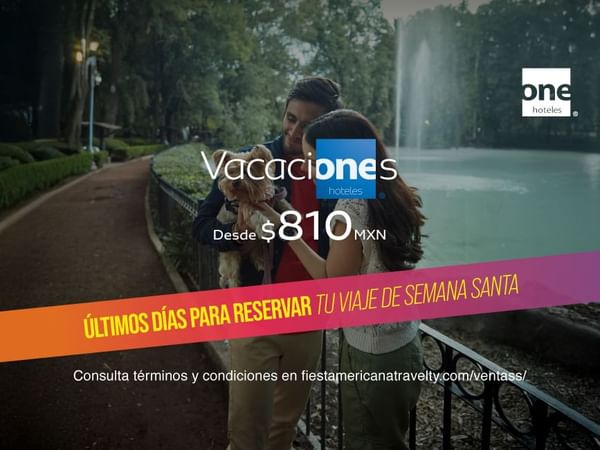 one Saltillo Aeropuerto | Hotel en Coahuila cerca de ti