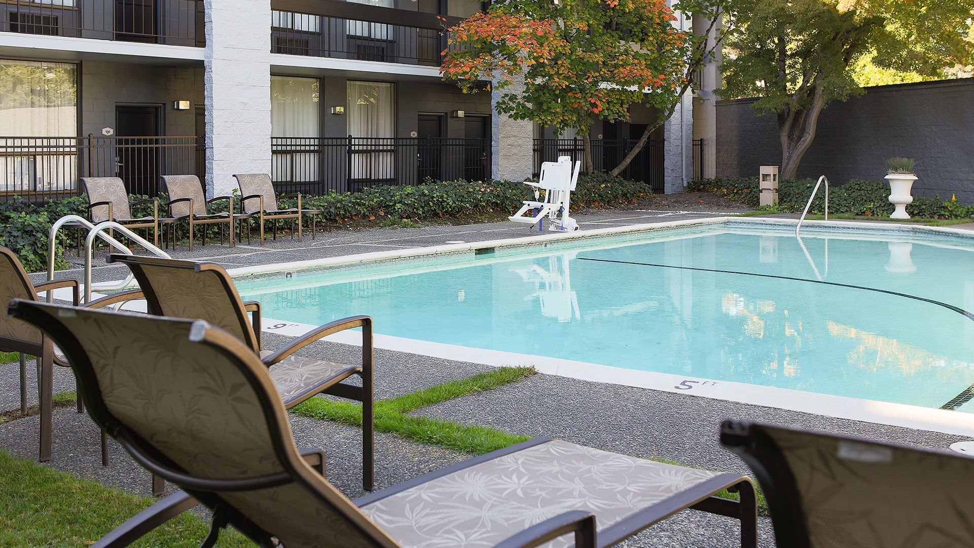 Seasonal Outdoor Pool & Gated Dog Park | Hotel 116, a Coast Hotel