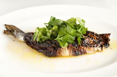 Photo Gallery | Hotel in Boston | The Inn at St. Botolph