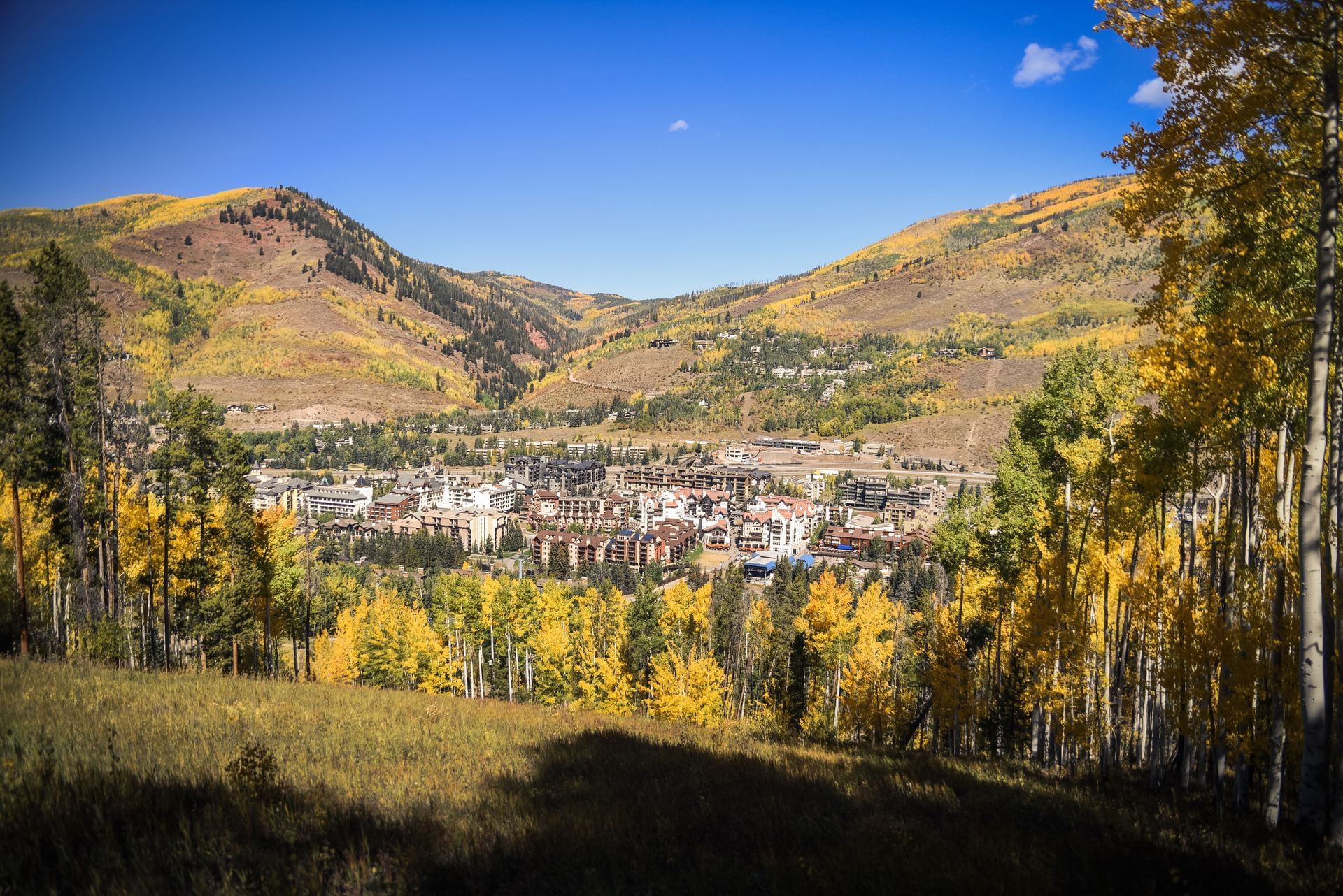 Eagle Point Vacation Rentals - Vail Colorado Rentals