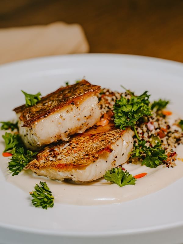 Shark's Tooth Restaurant in Inlet Beach, Florida | Camp Creek Inn