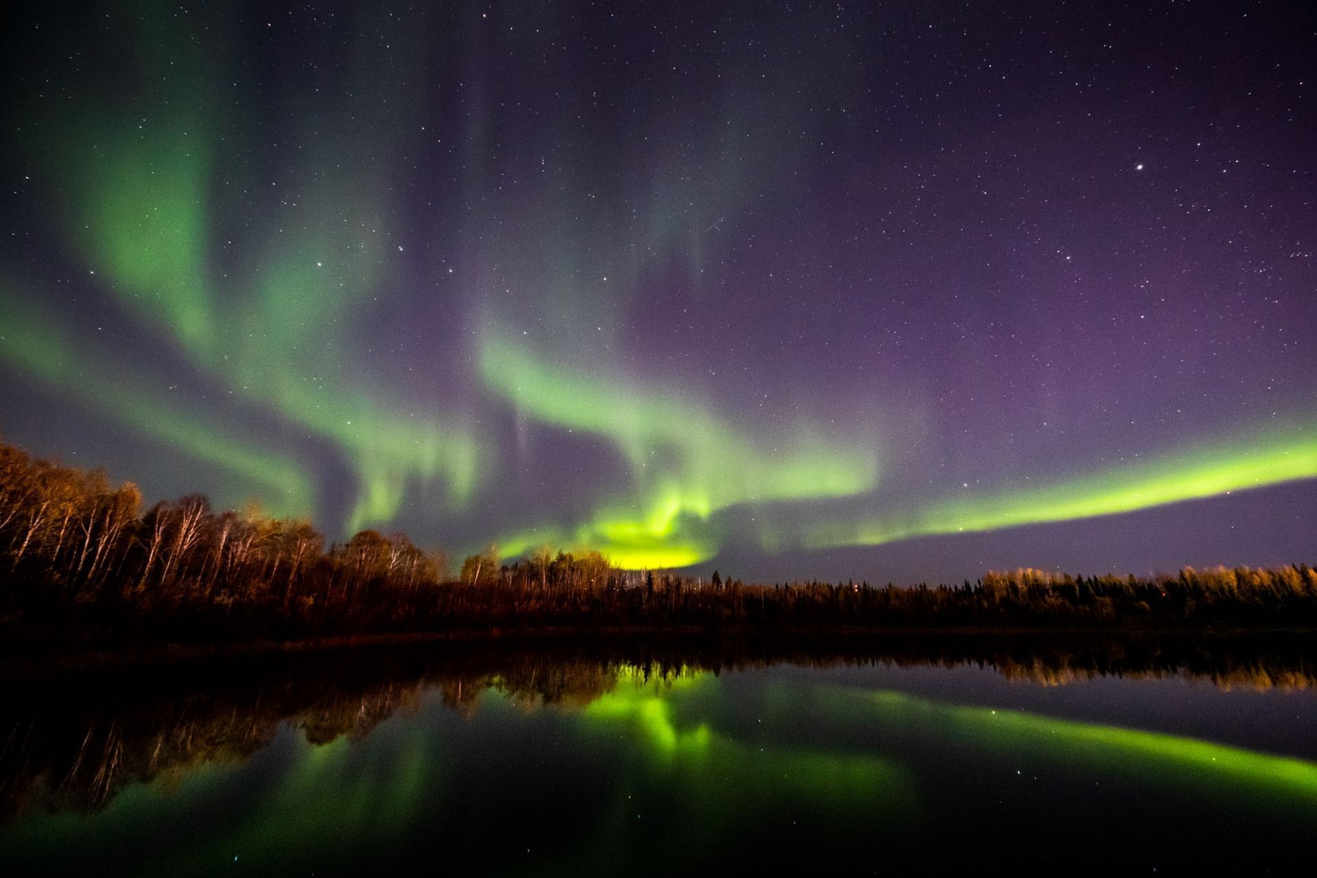 Wedgewood Resort - Fairbanks Alaska Resort