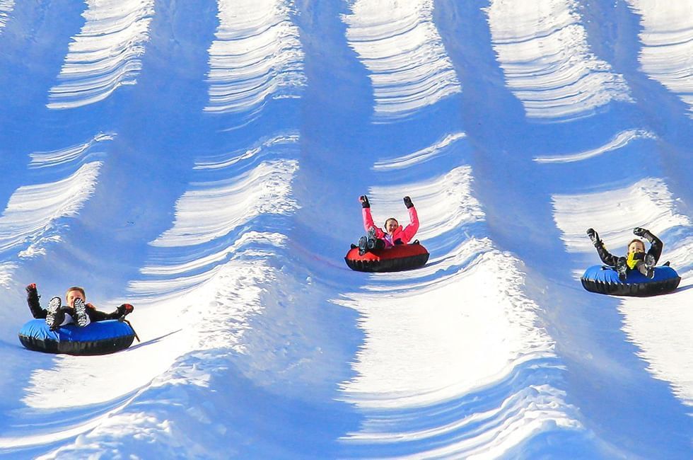 Seasonal Adventures | The Centennial - Linchris