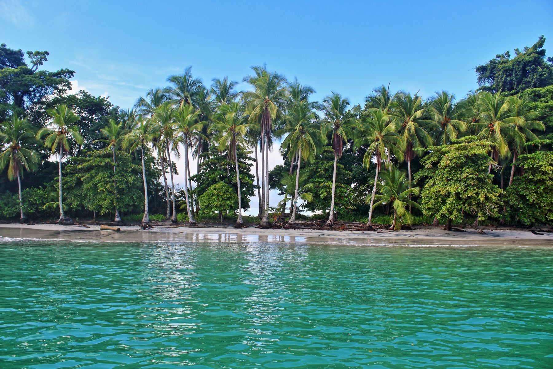 Attractions in Ciudad de David | Hotel Ciudad de David Chiriqui