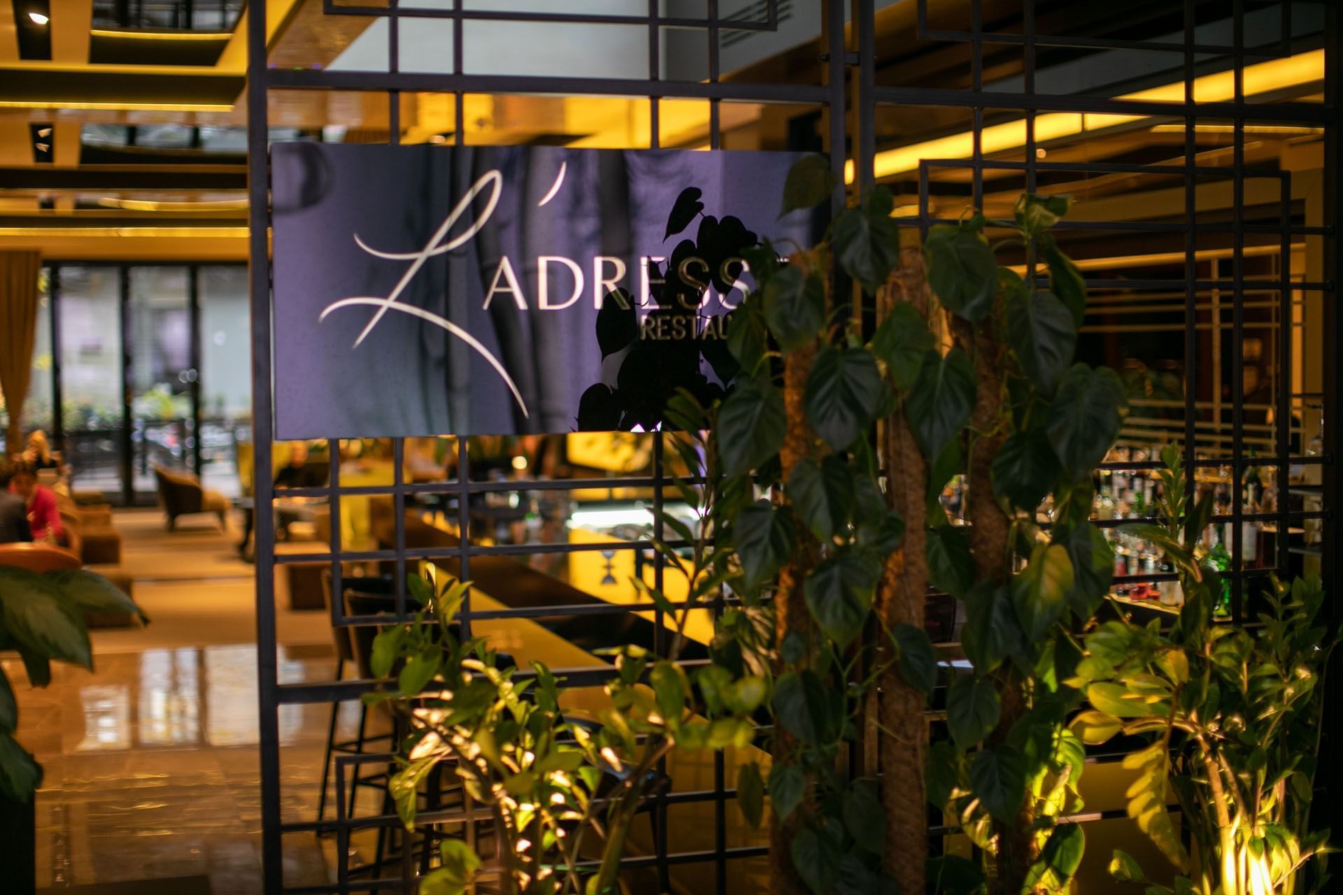 Belgrade Dining & Bar | Saint Ten Hotel