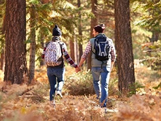 10 Best Things To Do In Surrey For Couples | Your 2025 Guide