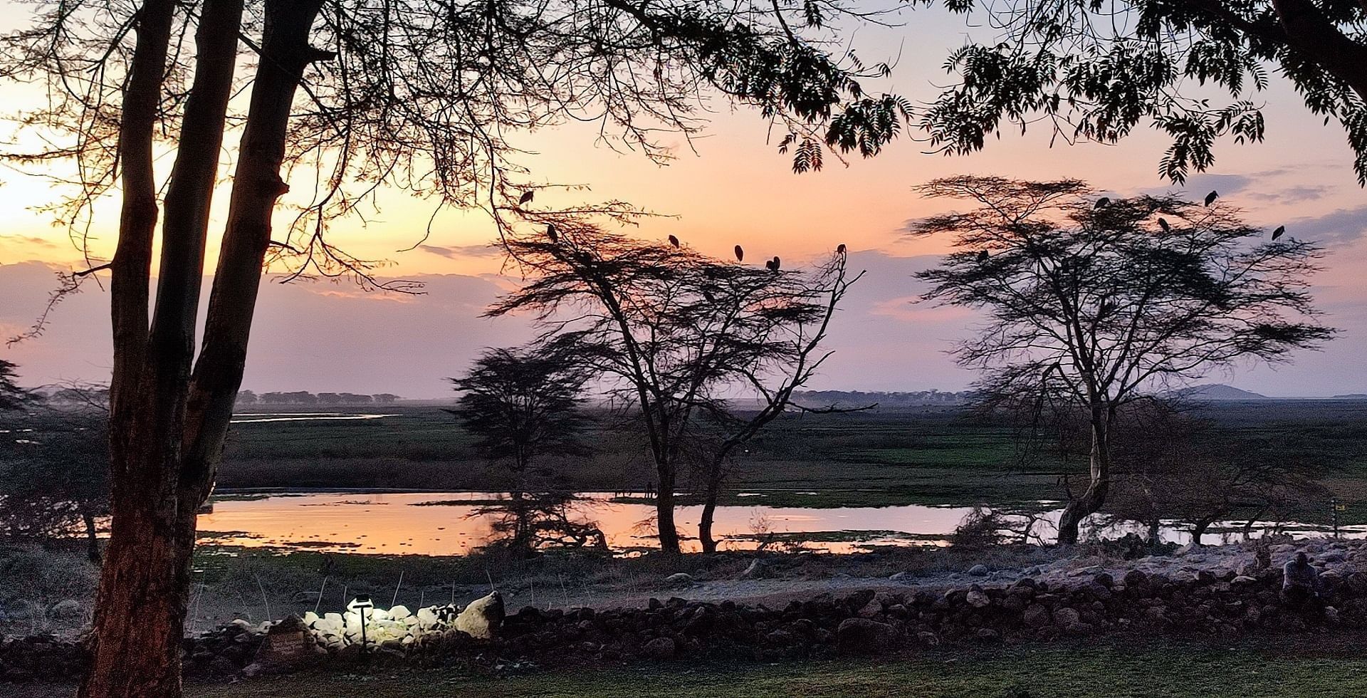 Amboseli Serena Safari Lodge Gallery | Kenya Safari Hotel | Kilimanjaro ...