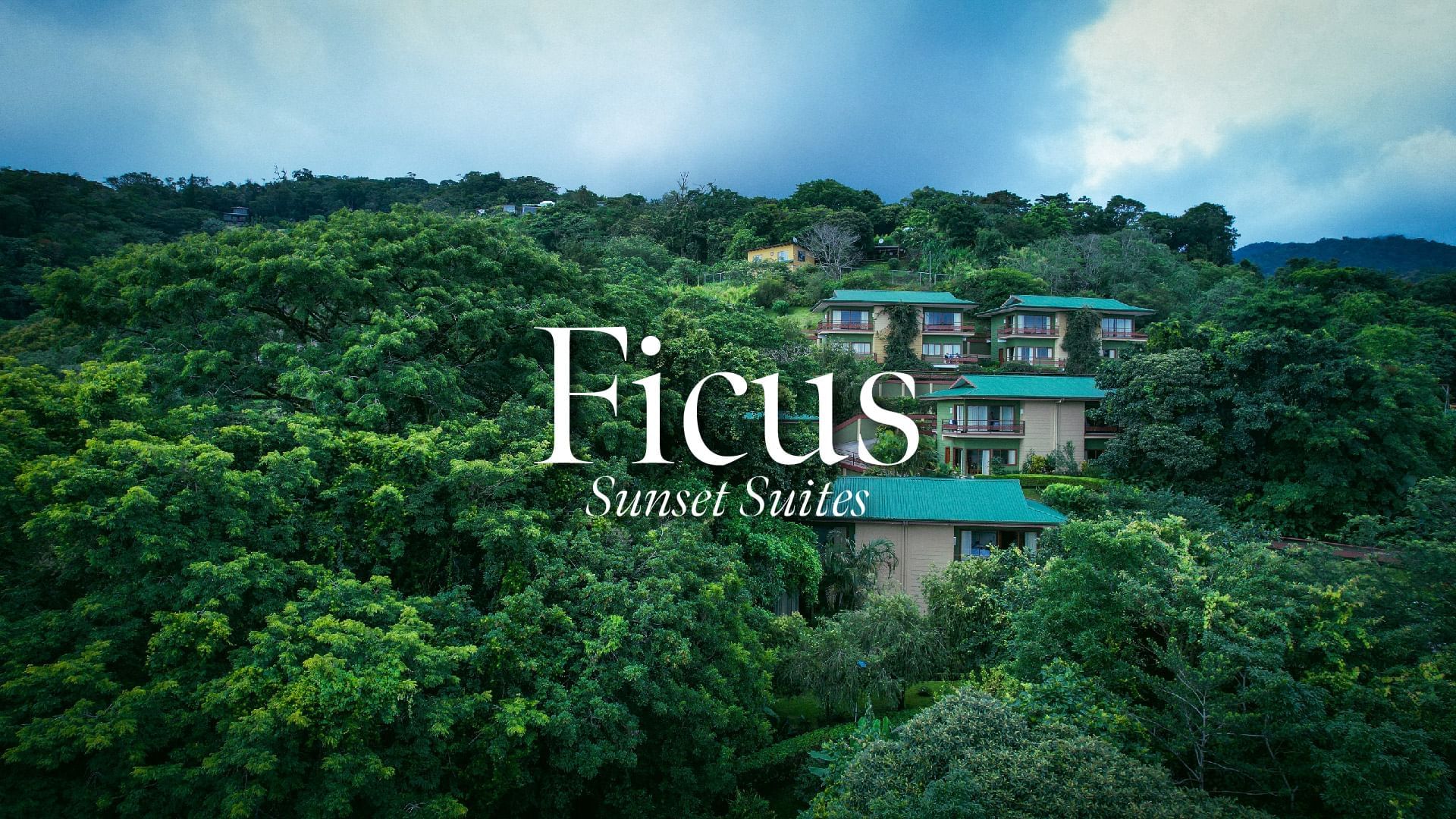 Ficus Sunset Suites | Hotel in Monteverde Costa Rica