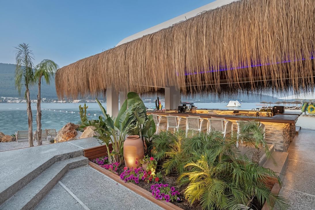 Best bars in Bodrum | Discover our beach bar | Titanic Luxury ...