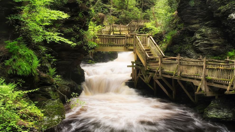 Cove Pocono Resorts Blog | Poconos Getaways, Activities & Tips