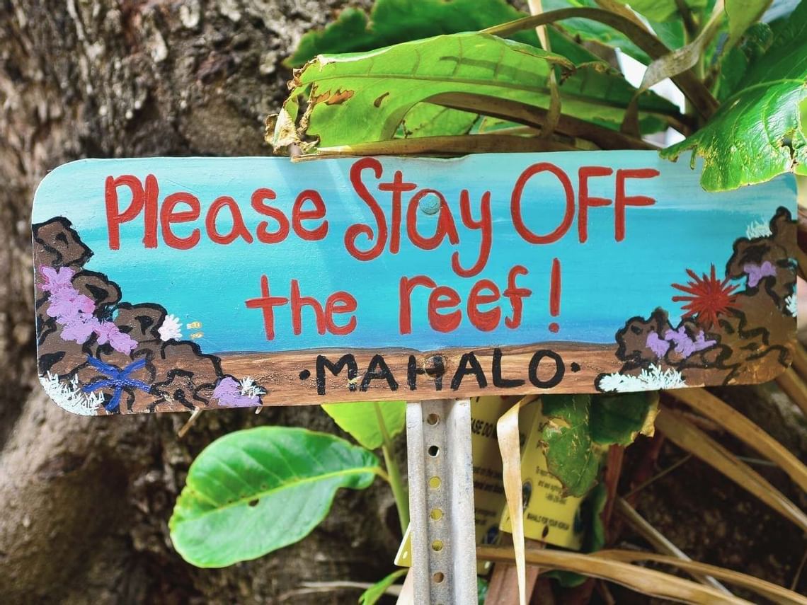 7 Common Hawaiian Phrases to Prepare for Your Trip | Waikiki Resort Hotel