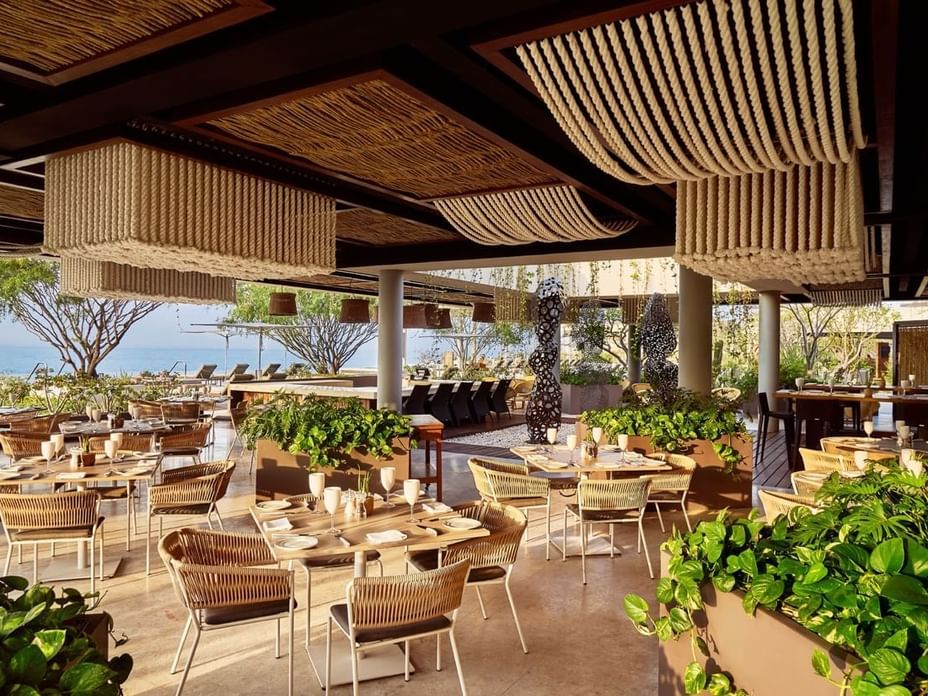 Riccio di Mare | Cabo Restaurants | The Club at Solaz
