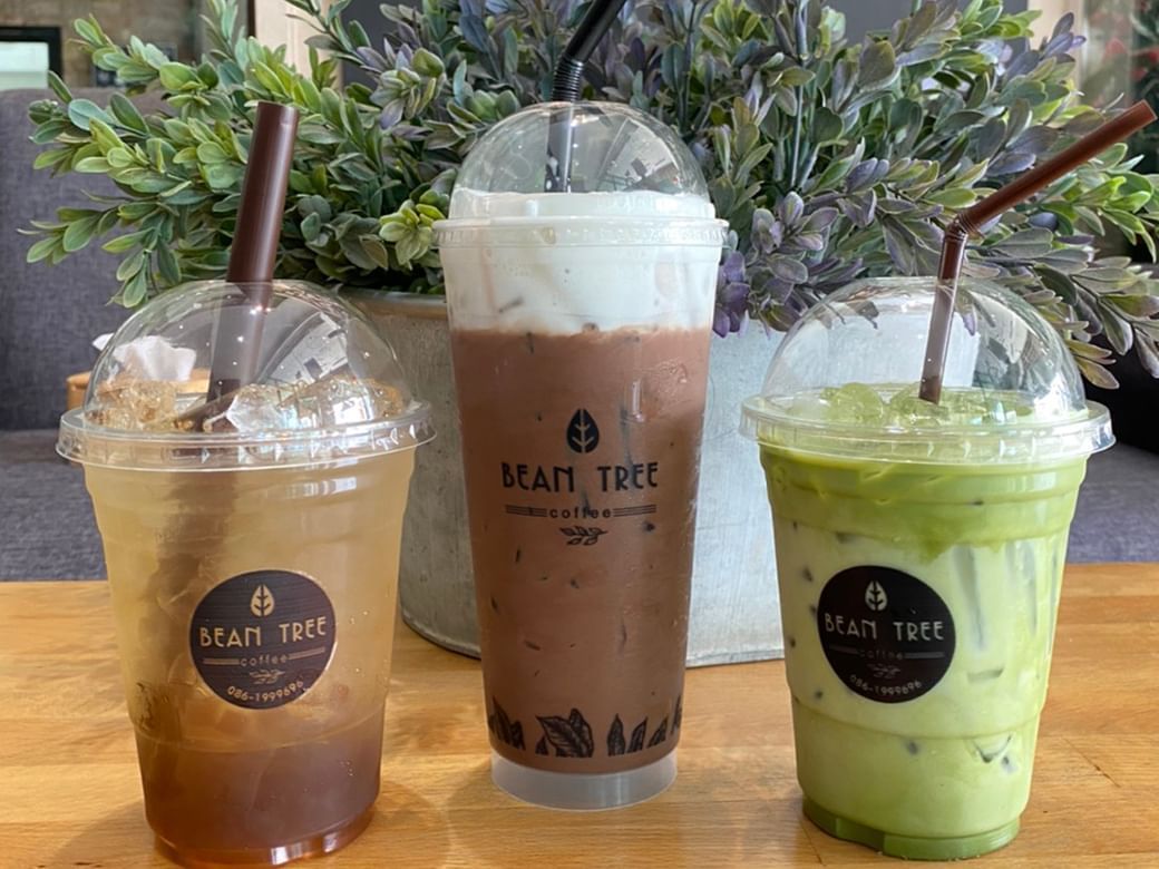 Bean Tree Phetchabun | Cafe near HOP INN Phetchabun