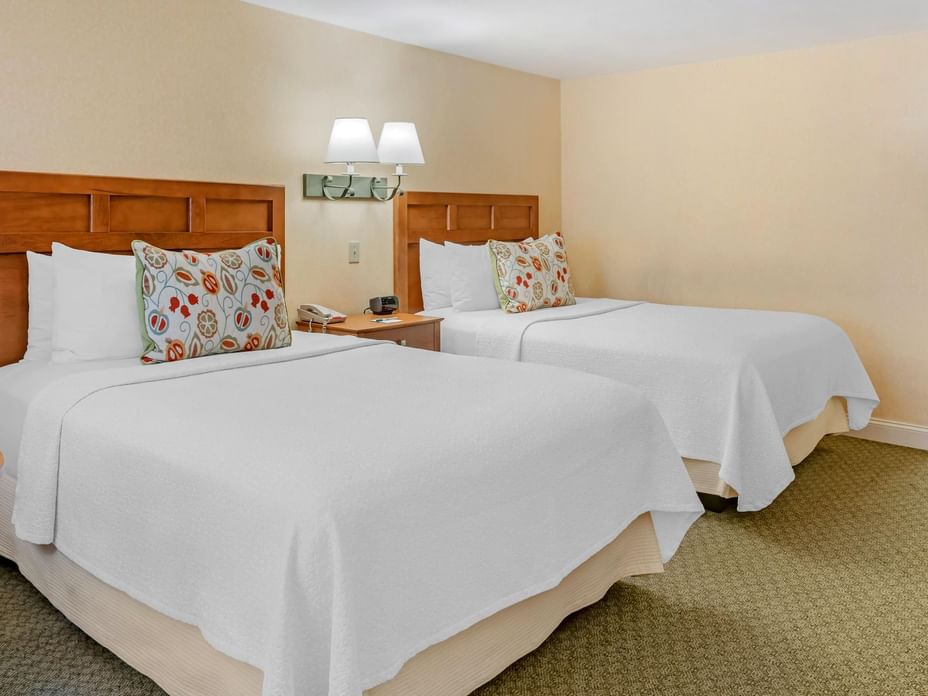 Standard Room 2 Double Beds in Chase | Ogunquit Hotel Rooms | Juniper ...