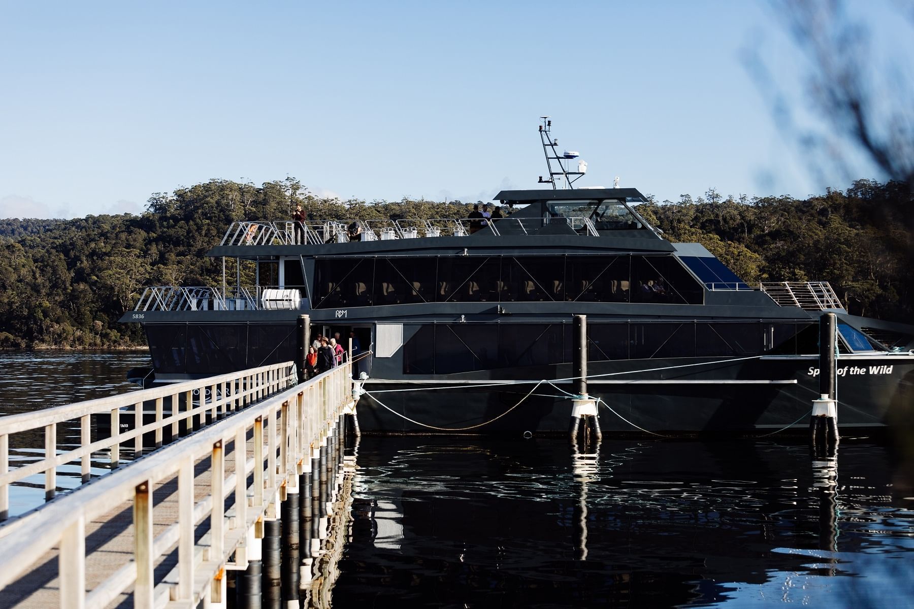 Gordon River Cruises | Gordon River Cruise Tasmania