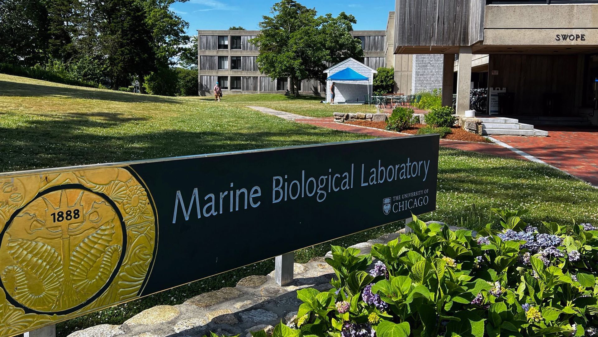 Marine Biological Laboratory Logo Tsoi Kobus Design
