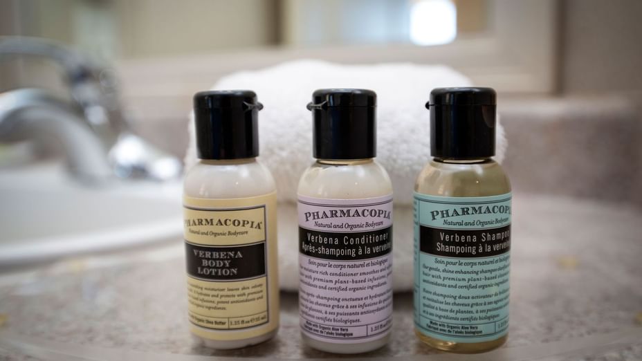 Standard Suite, 1 King Bed, Sofa Bed, Kitchen, View | Sandman Surrey ...