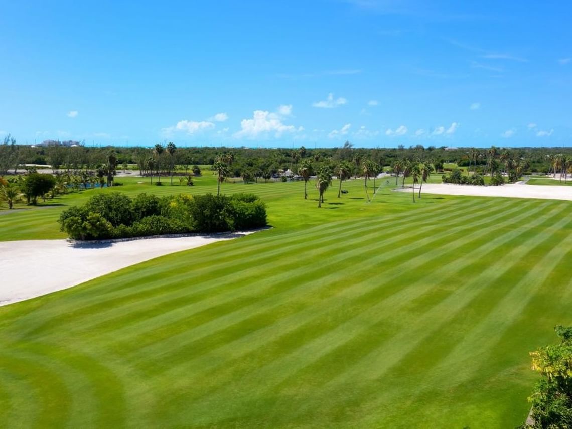 Discover Golf | Grace Bay Attractions