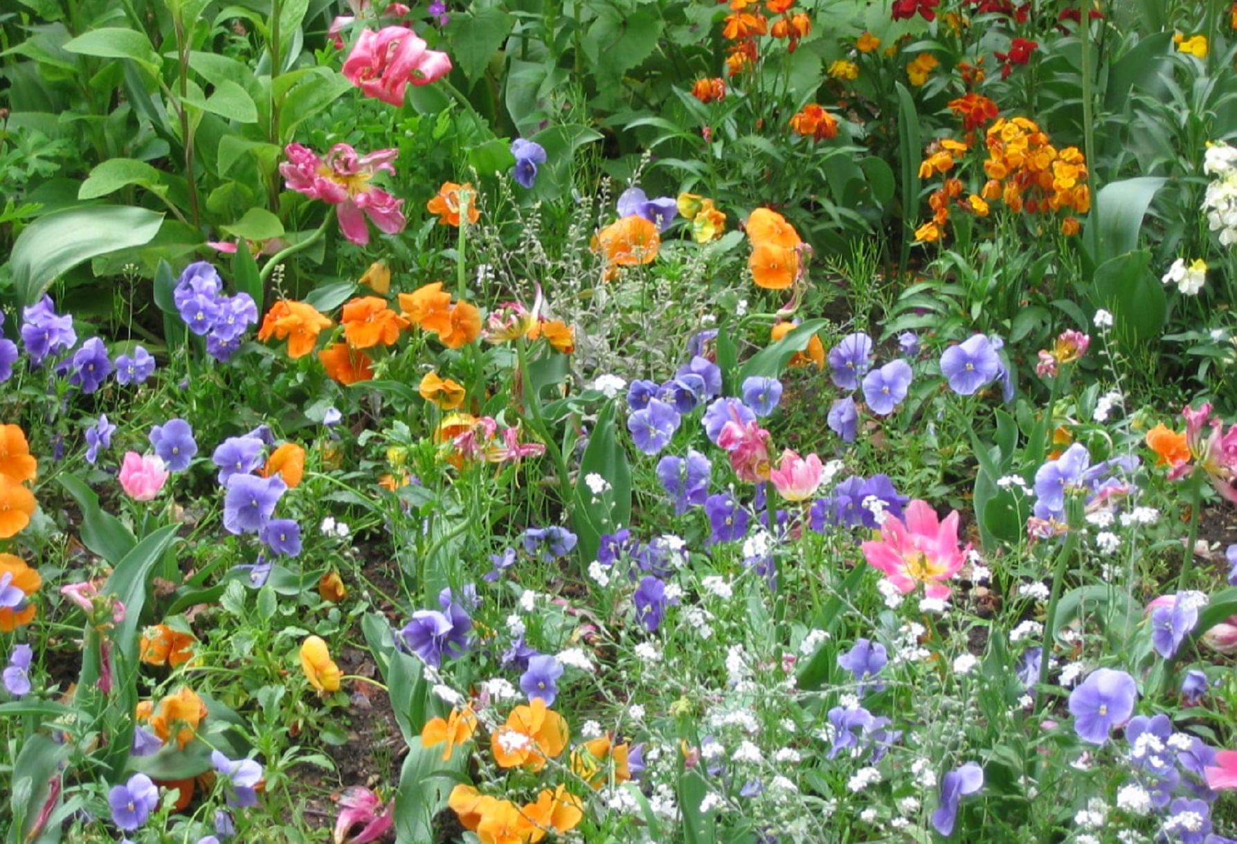 The Manchester View - Hotel In Manchester VT