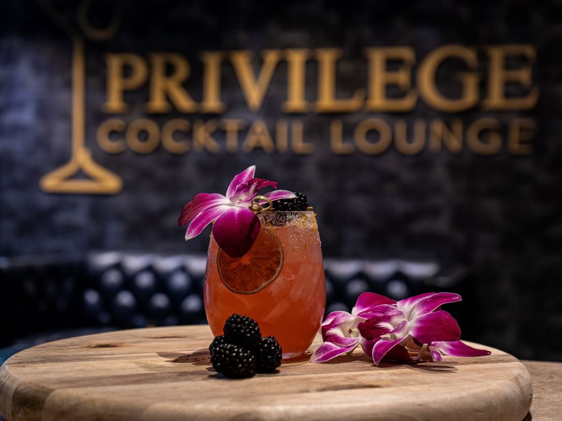 Privilege Cocktail Lounge | Dining at Albion Miami Beach