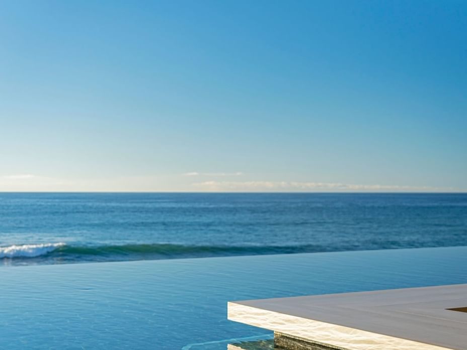 Mako | Cabo Restaurants | The Club at Solaz