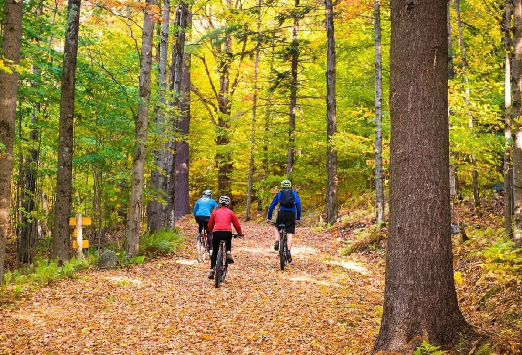 The Manchester View - Hotel In Manchester VT