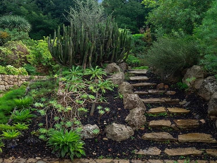Botanical Garden of Sóller | Mediterranean Flora | Aimia Hotel