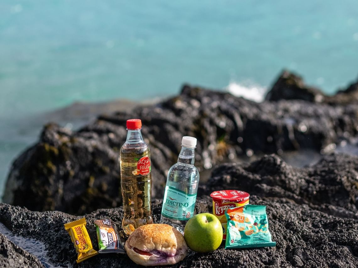 Box Lunch de Excursión | Hotel Costaustralis Accommodation
