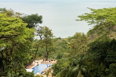 Gallery | Los Altos Resort