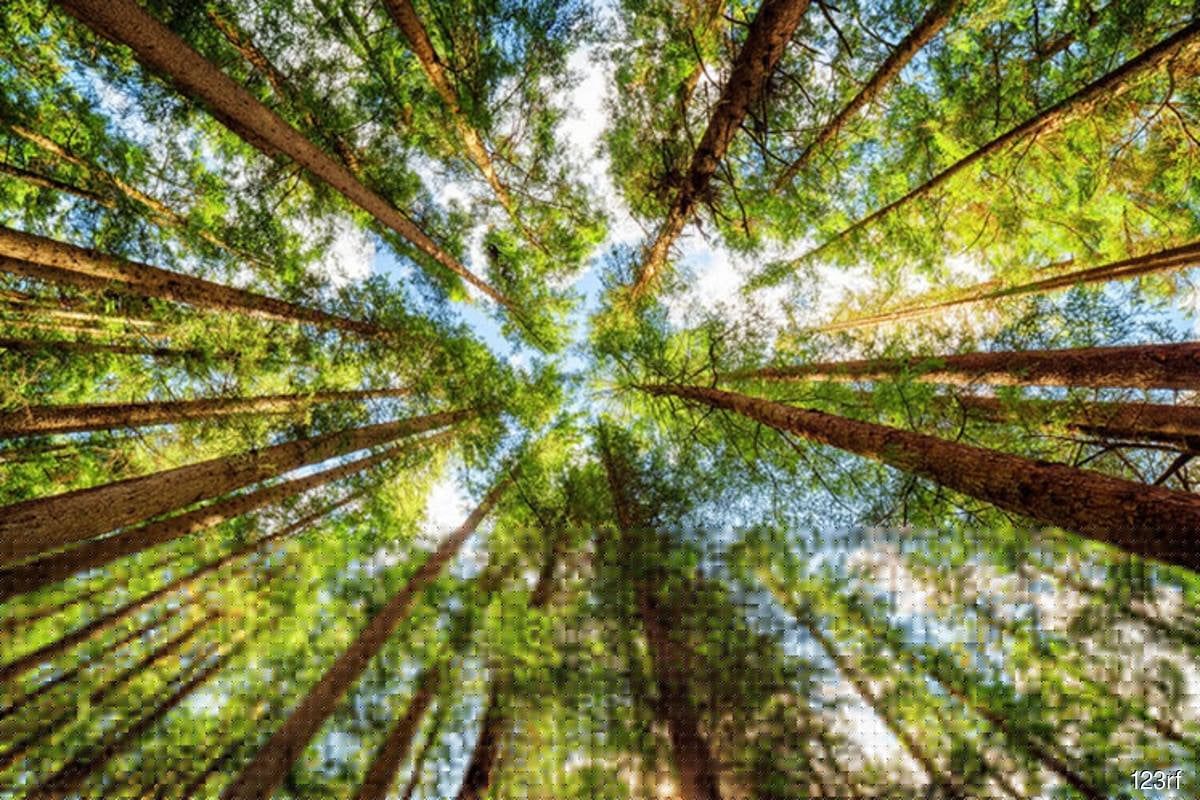 Premier Business Ventures in Sarawak by Hemisphere