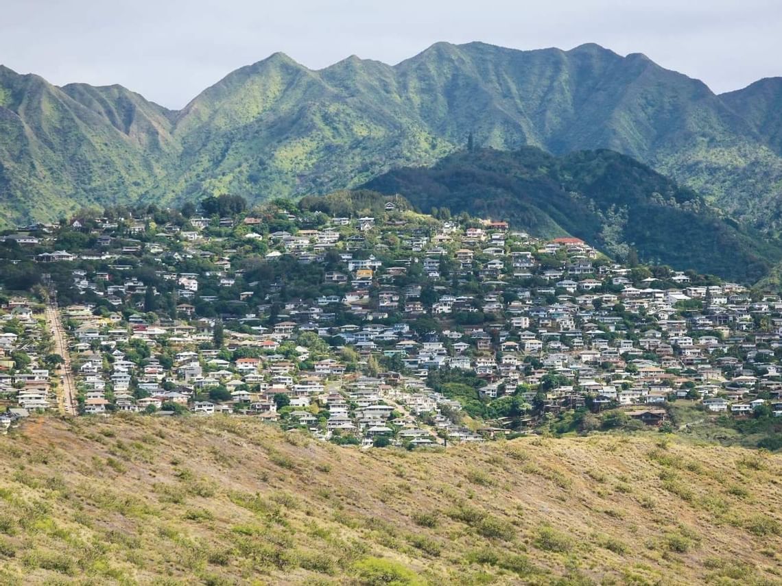 Exploring Quaint Kaimuki: Neighborhood Guide | Waikiki Resort Hotel