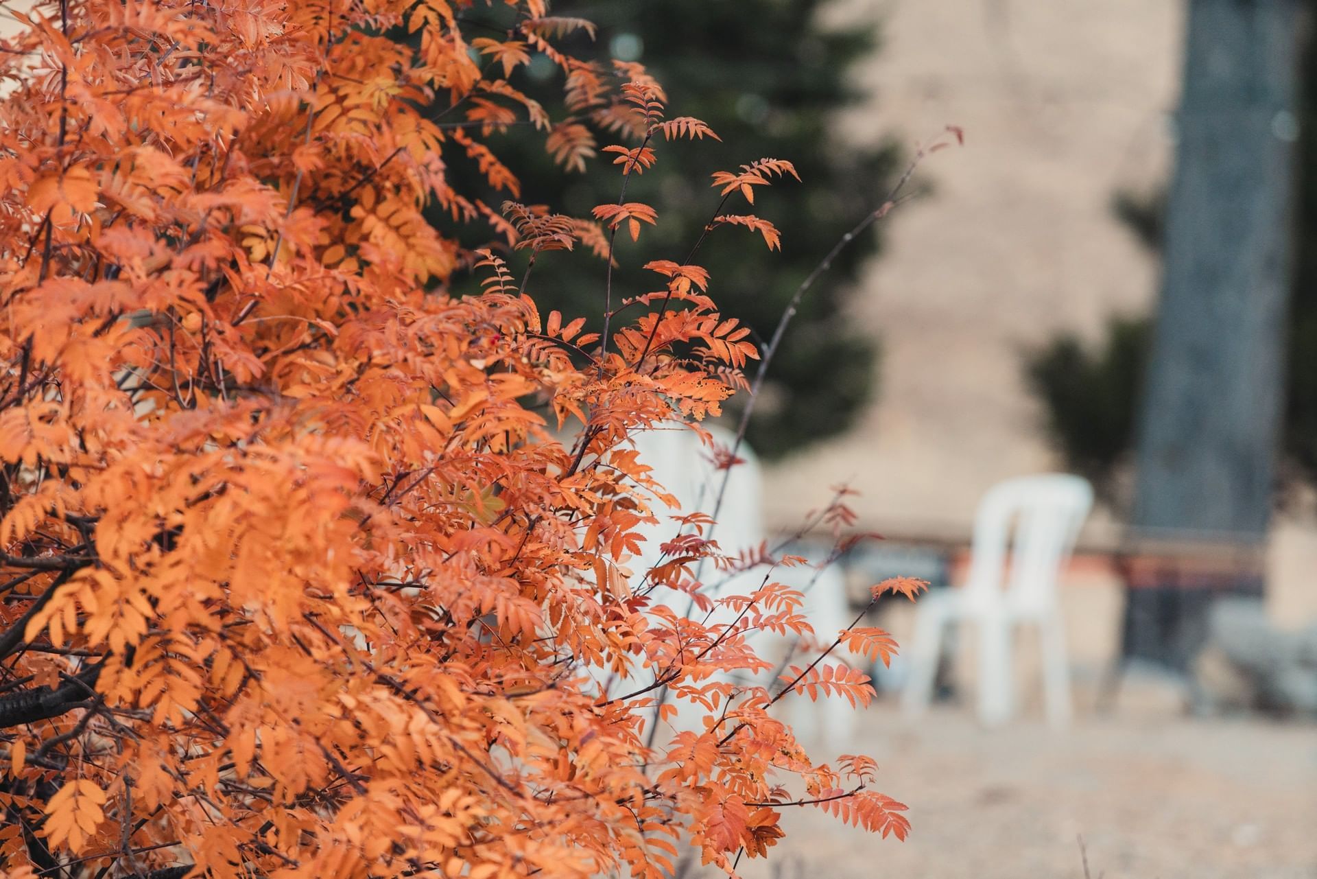 Lake Tahoe Resort | Granlibakken Tahoe