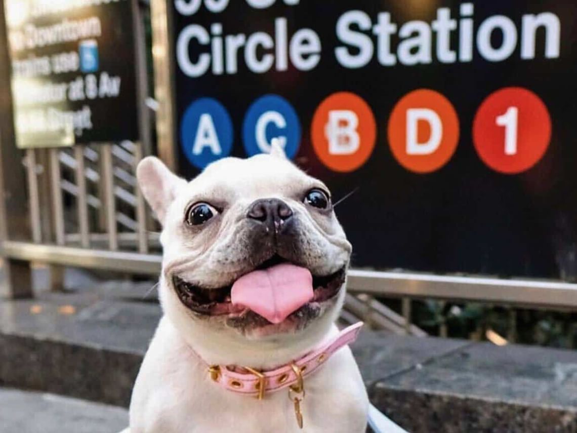Turnstyle Underground Market at Columbus Circle - Moderne Hotel NYC