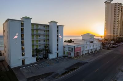 Gallery | Flamingo Hotel & Tower