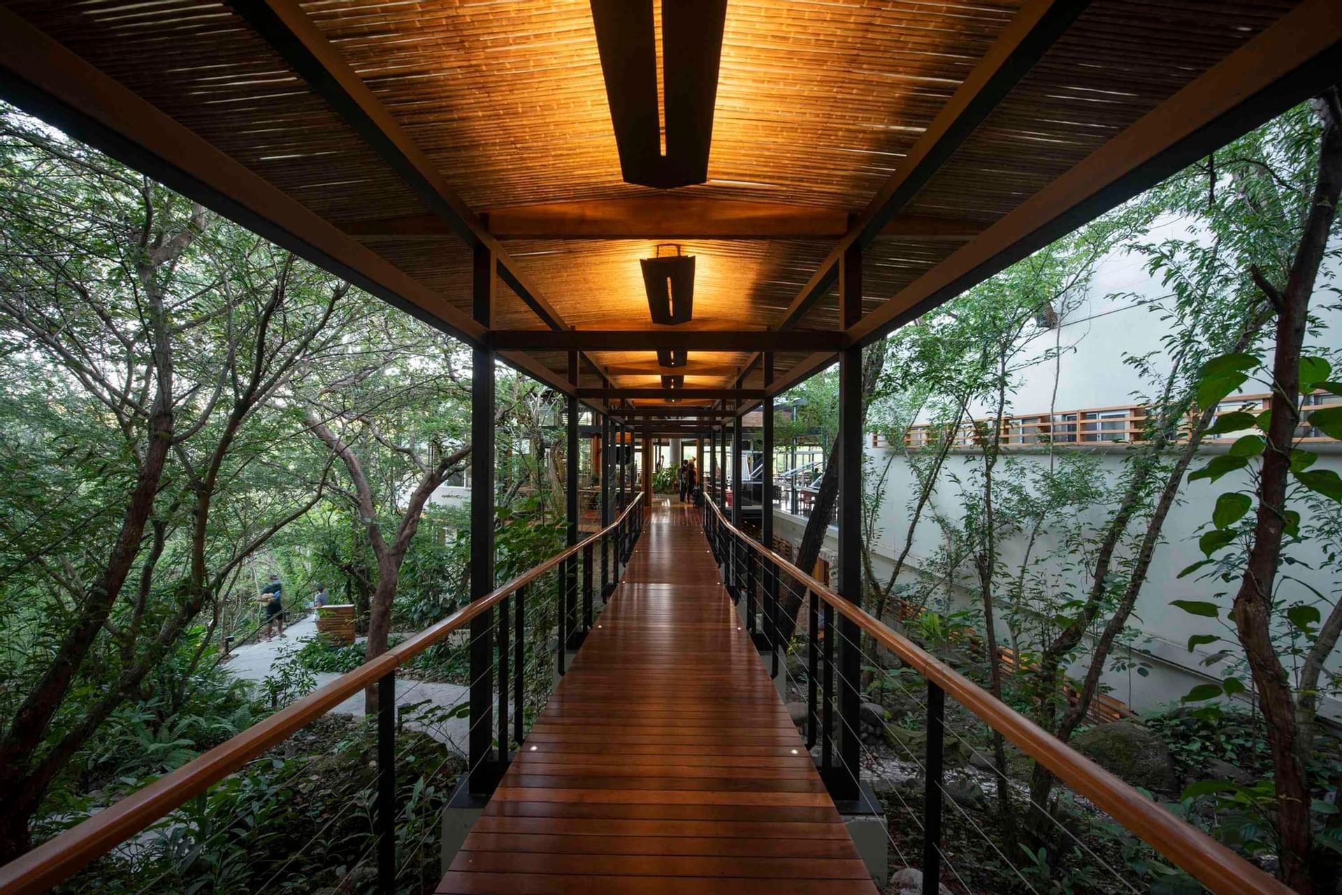 Development & Design | Rio Perdido