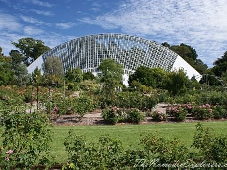 Adelaide Botanic Garden near Grosvenor Hotel Adelaide