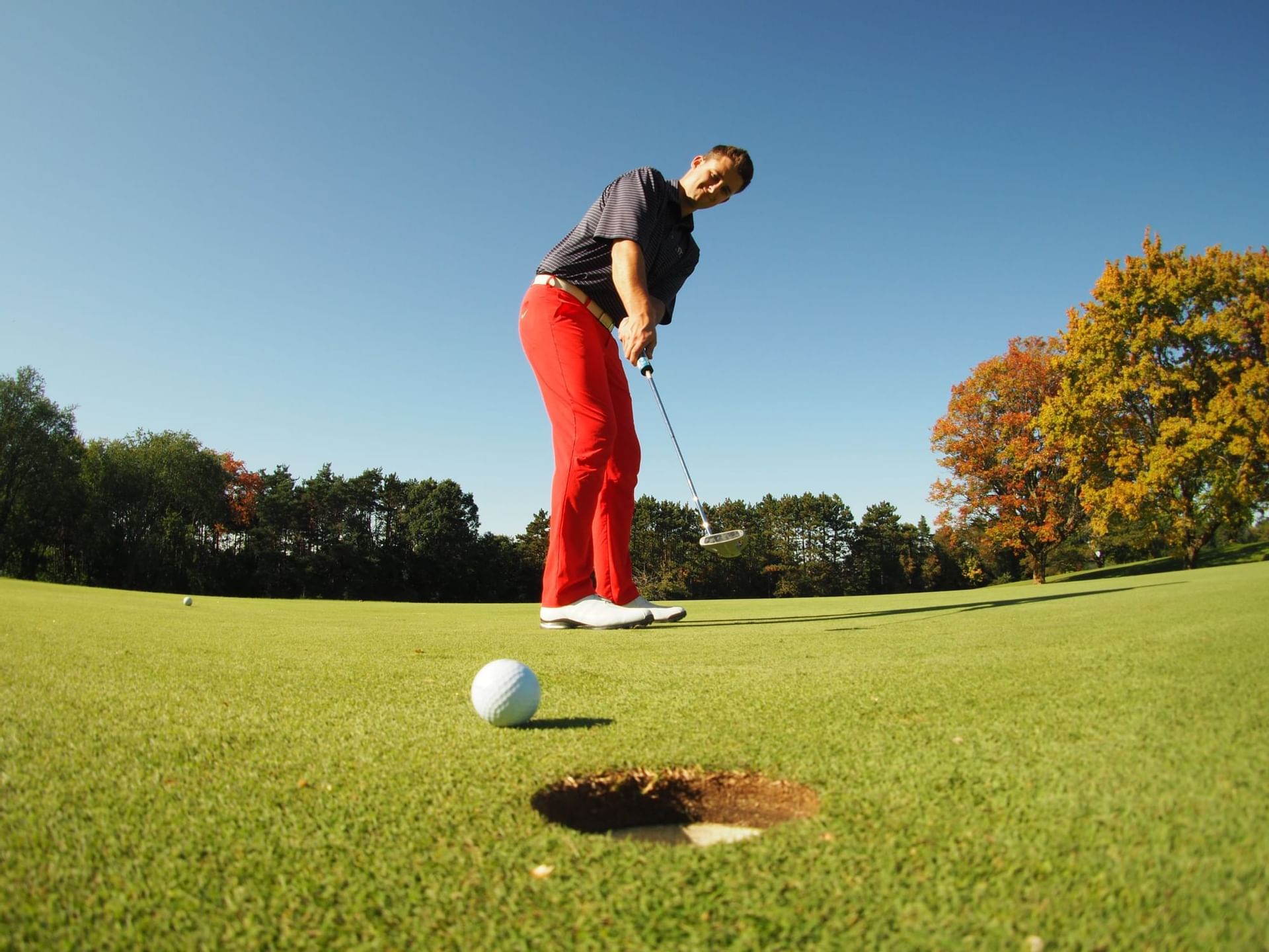 Evergreen Resort - A Hotel in Cadillac, MI